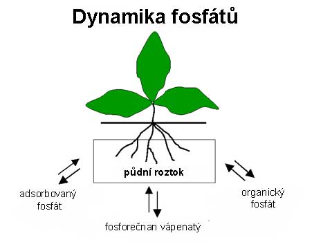 Multimediální učební texty z výživy rostlin