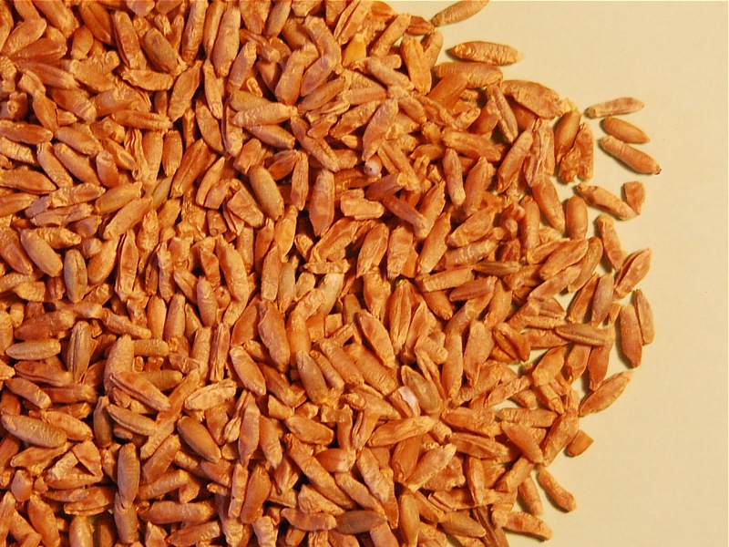 Feedstuffs database - Triticale